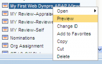 How To Create The Most Common Used iViews In The SAP Enterprise Portal