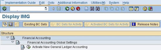 Concept Of The New General Ledger In Sap 2838