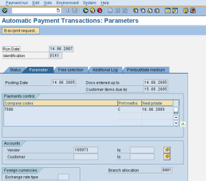AUTOMATIC PAYMENT PROGRAM IN SAP