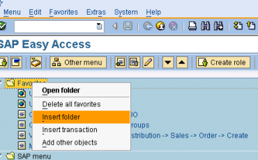 How To Add Favorites To Your SAP Menu