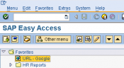 How To Add Favorites To Your SAP Menu