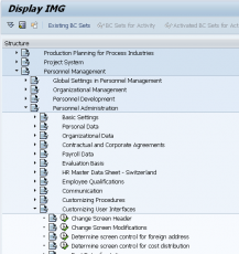 How To Change And Create SAP HR Infotype Screens