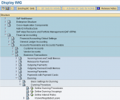 Dunning Letters In SAP