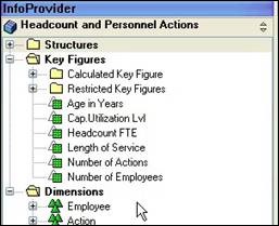4 Easy Steps To Creating Reports Using The SAP BEx Query Designer