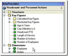 4 Easy Steps To Creating Reports Using The SAP BEx Query Designer