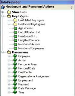 4 Easy Steps To Creating Reports Using The SAP BEx Query Designer