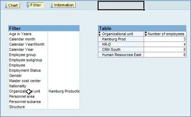 Learn The SAP BW BEX Analyser