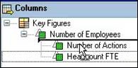 4 Easy Steps To Creating Reports Using The SAP BEx Query Designer